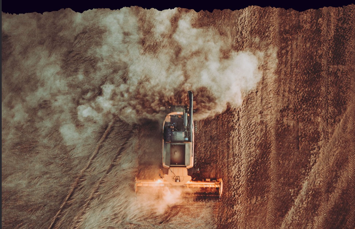 Una scommessa pericolosa: la proposta di certificazione UE del Carbon ...